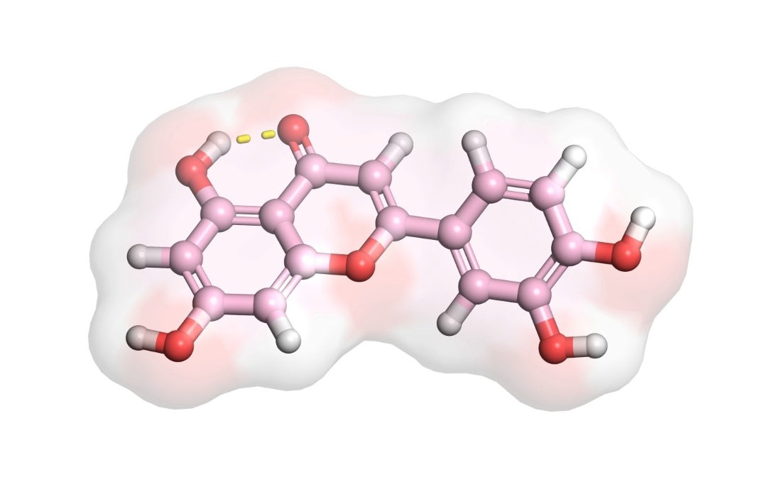 Luteolin – a powerful flavonoid from nature