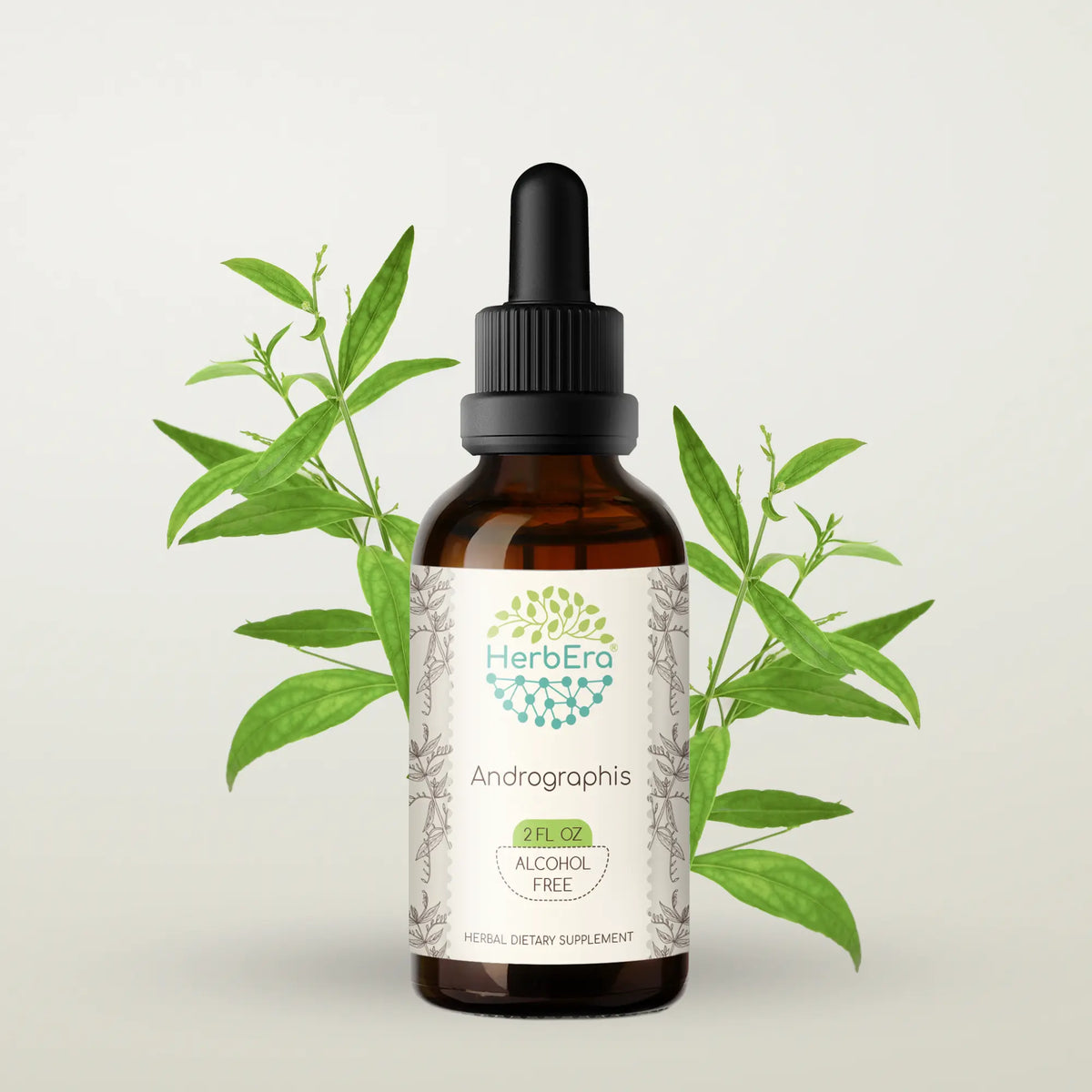 HerbEra Andrographis Tincture